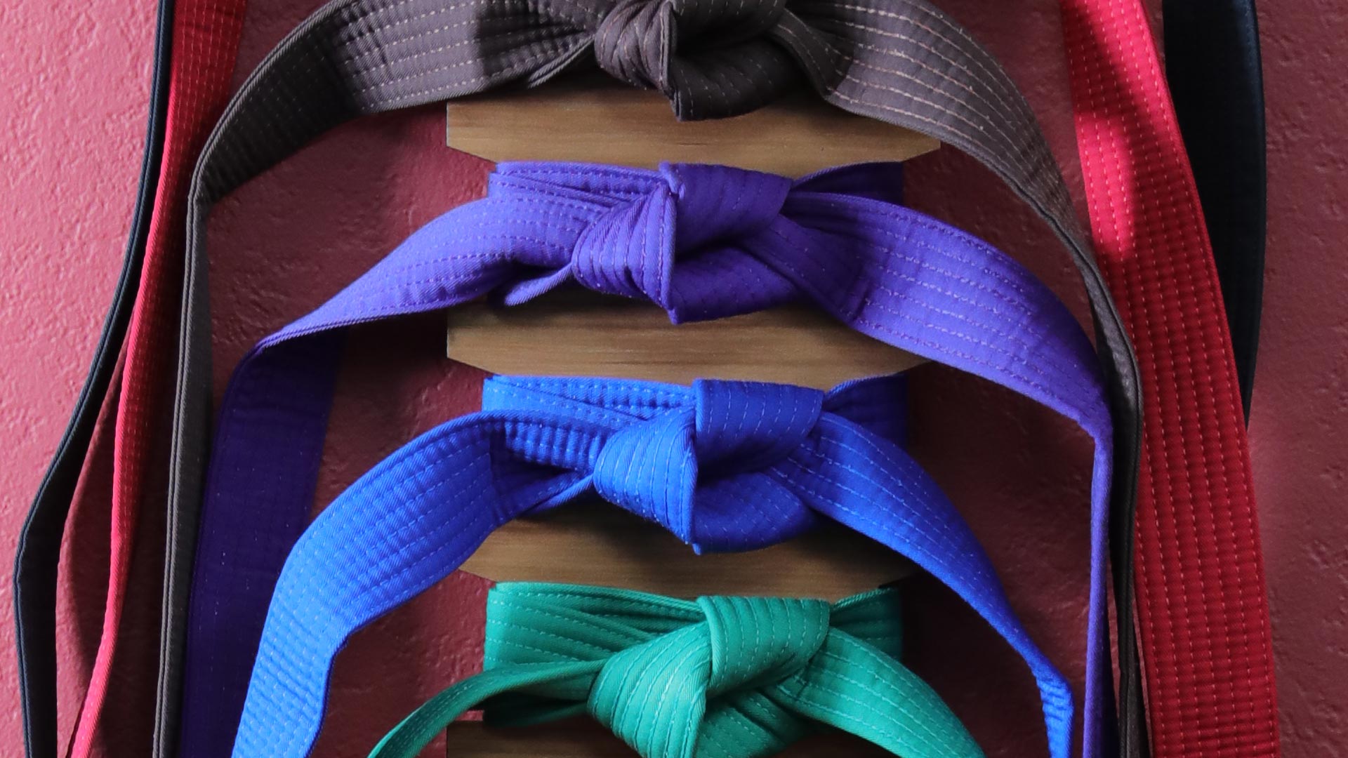 Belt Displays | Century Martial Arts | Martial Arts Belt Displays